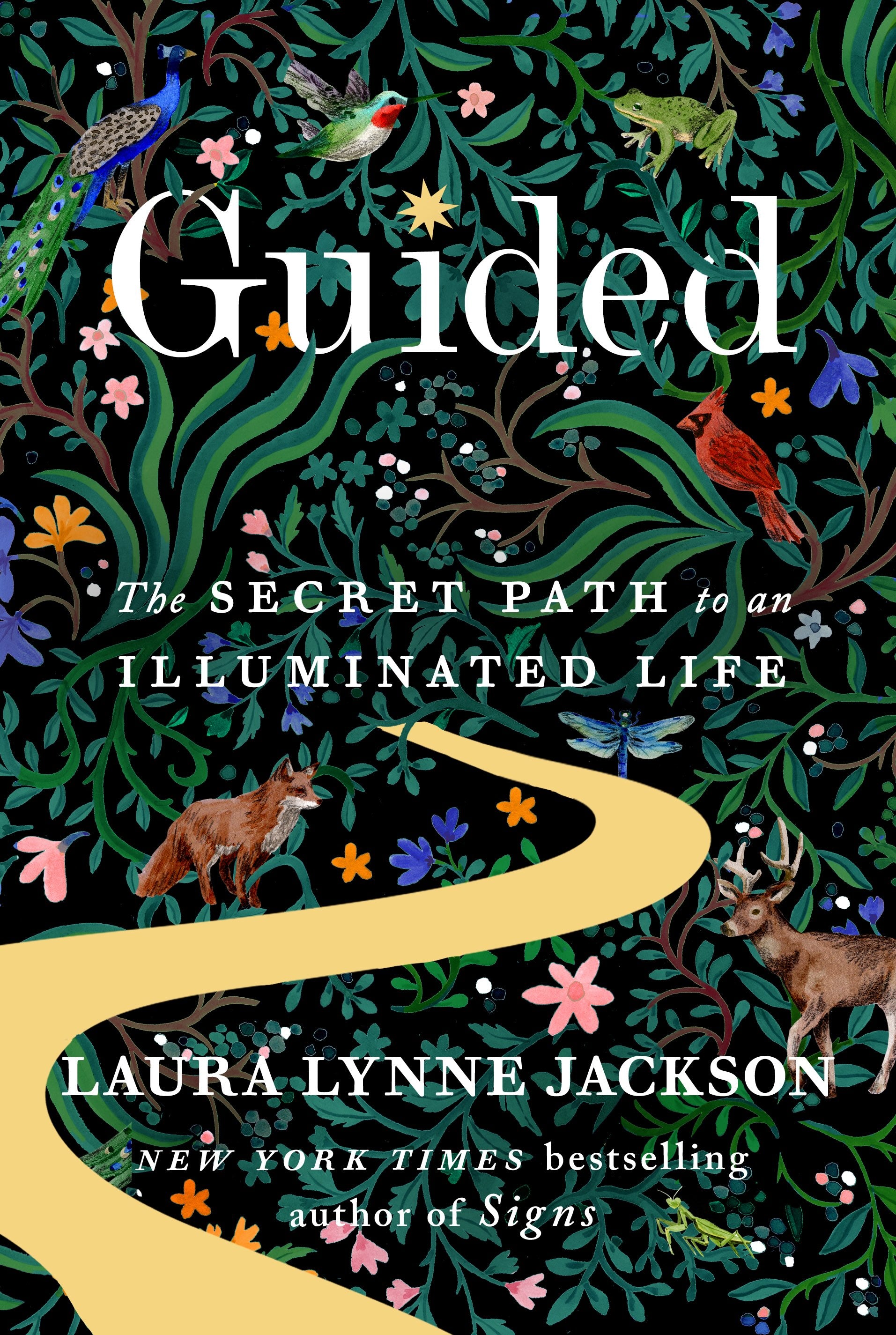 Guided: The Secret Path to an Illuminated Life (Path of Light) – You ...